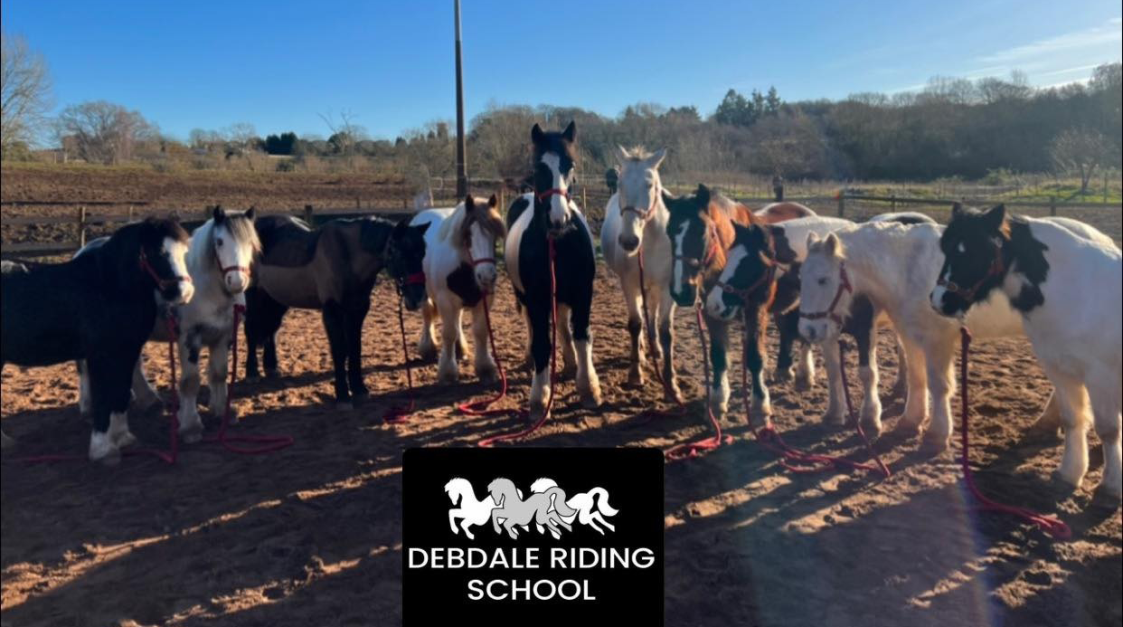 Welcome to Debdale Riding School